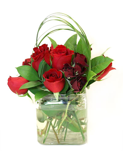 Shop Floral - Roses - Simply Roses