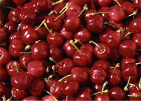 Rainier Cherries: Nature's Candy